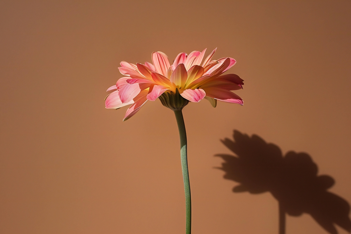 Flower Photography Guide: 10 Tips for Fascinating Shots